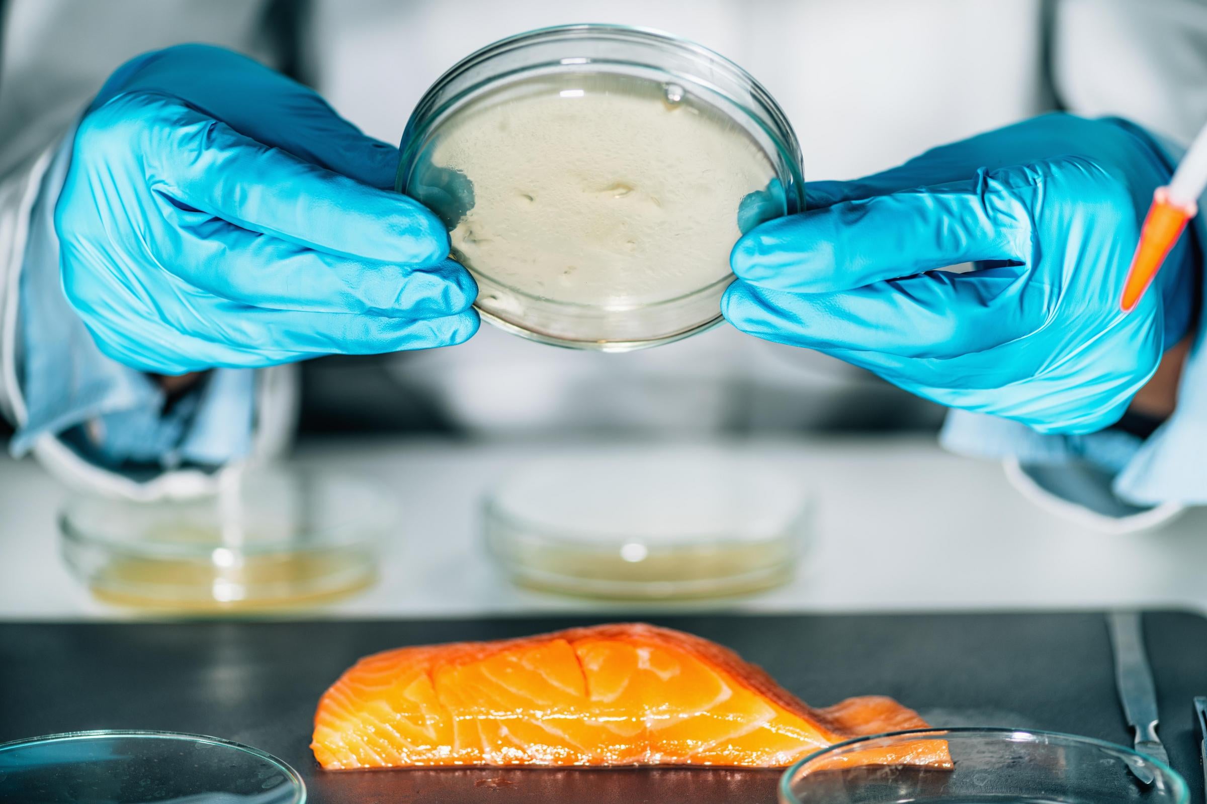 Fish & Seafood Processing Conveyor Belts | Intralox